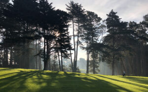 New Luxury Apartments In Long Island | Carlow Wind Watch